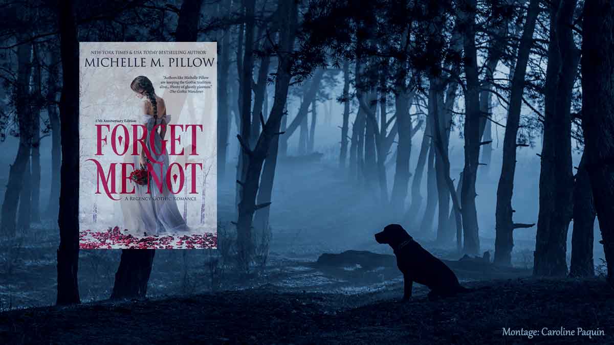 Forget Me Not – A timeless love story – Caro's Reads